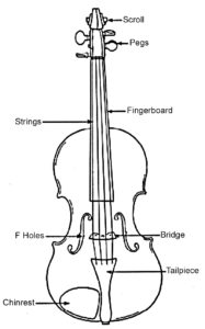 Parts of the violin