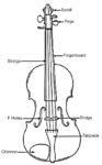 Parts of the violin